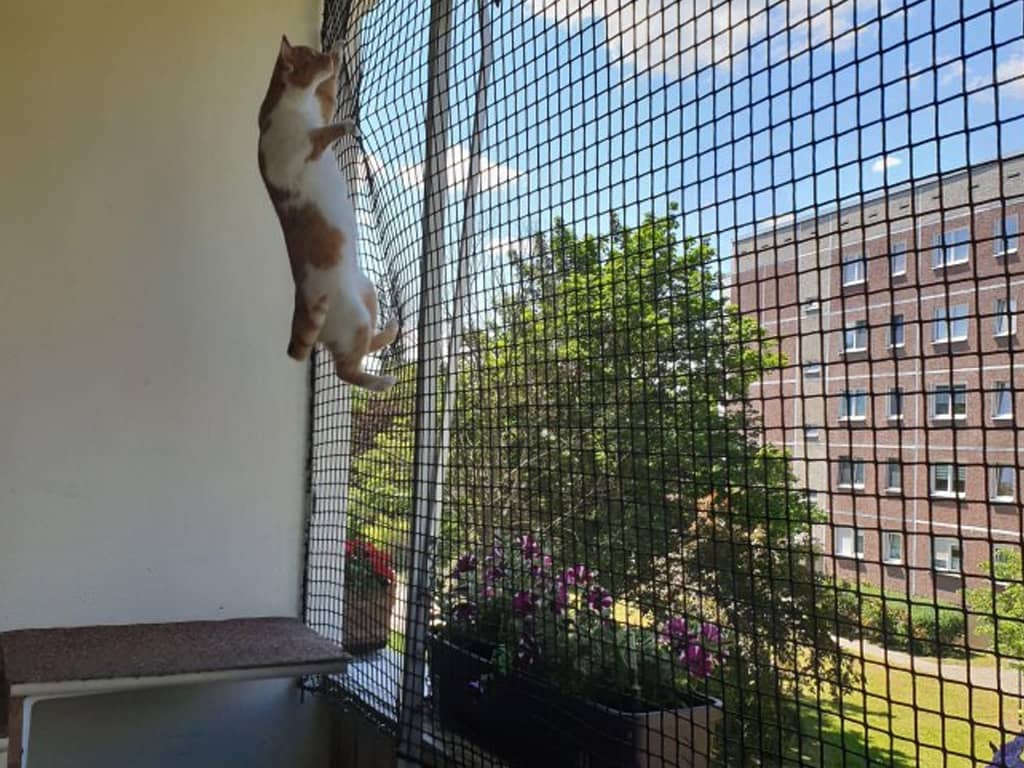 YPL's Balcony Safety Nets, Pigeon Netting & Cricket Net Installation